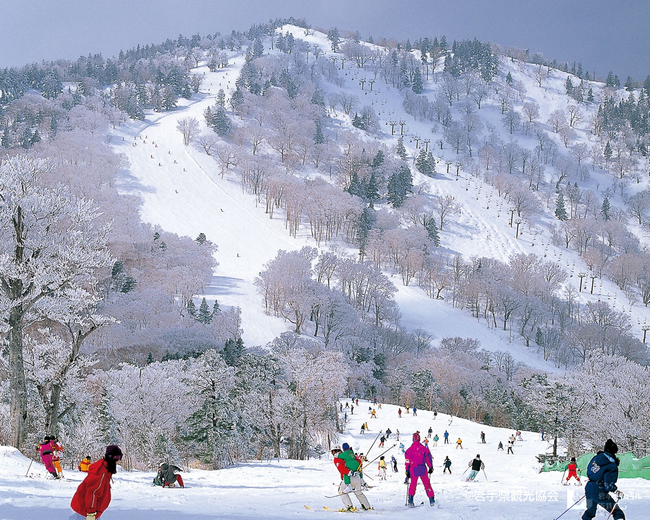A winter wonderland in Iwate (#5) | Iwate & the ILC