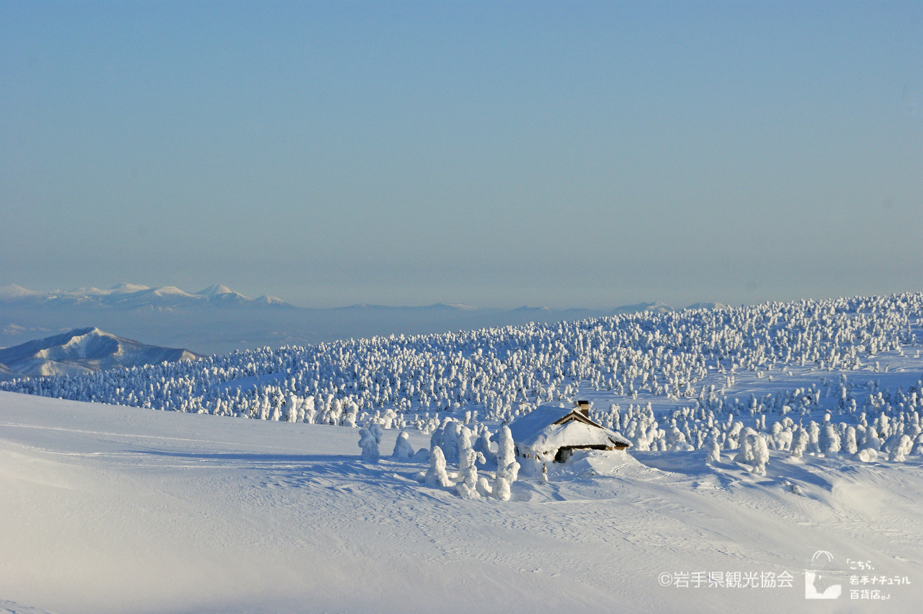 Three Things to Look Forward To In The Cold Iwate Mountains! | Iwate ...