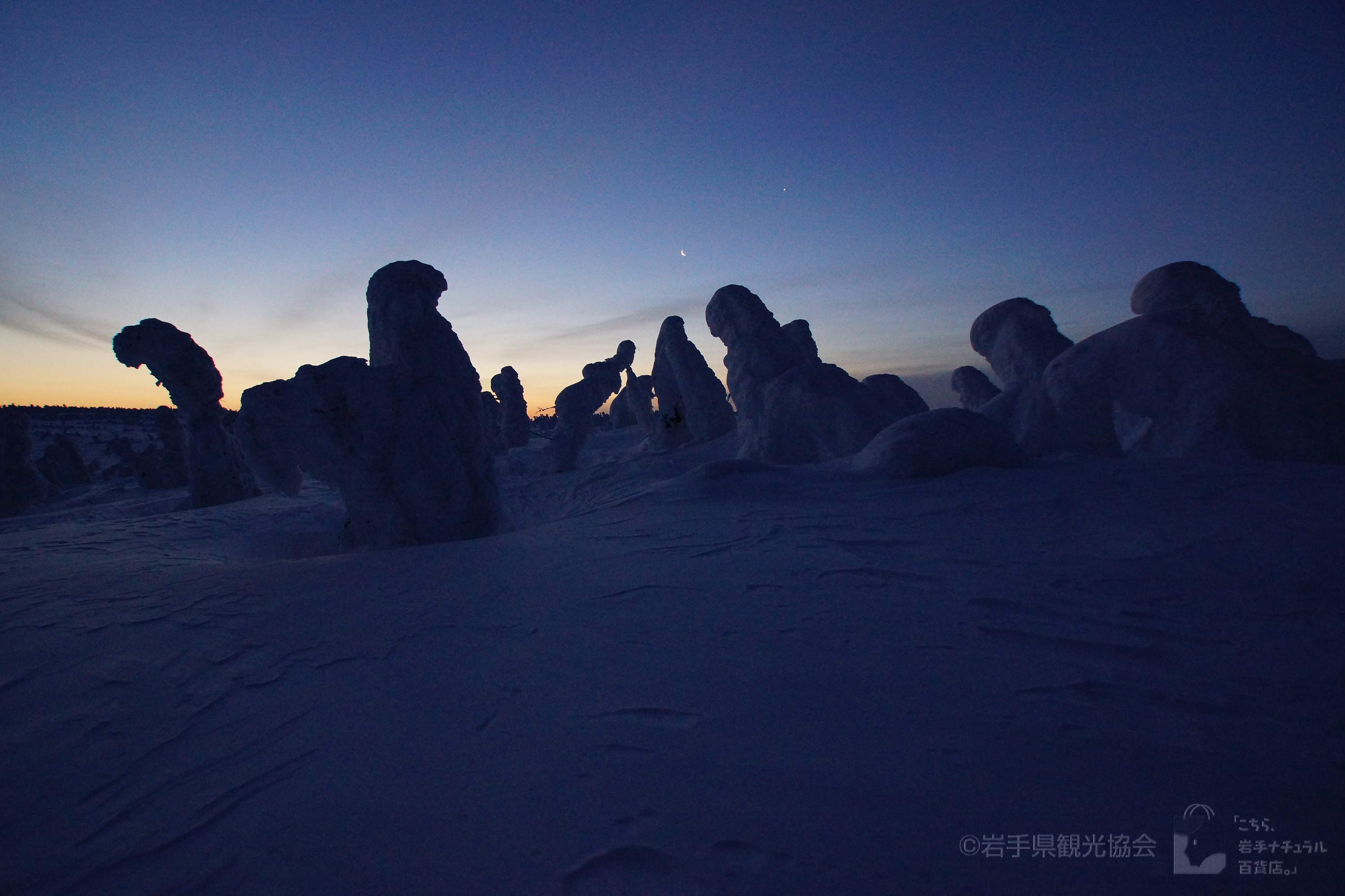 Three Things to Look Forward To In The Cold Iwate Mountains! | Iwate ...