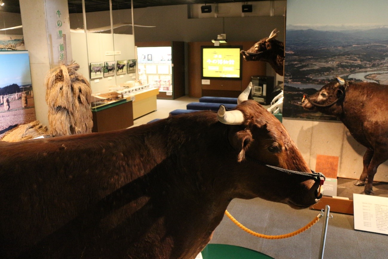 Welcoming the Year of the Cow | Iwate & the ILC