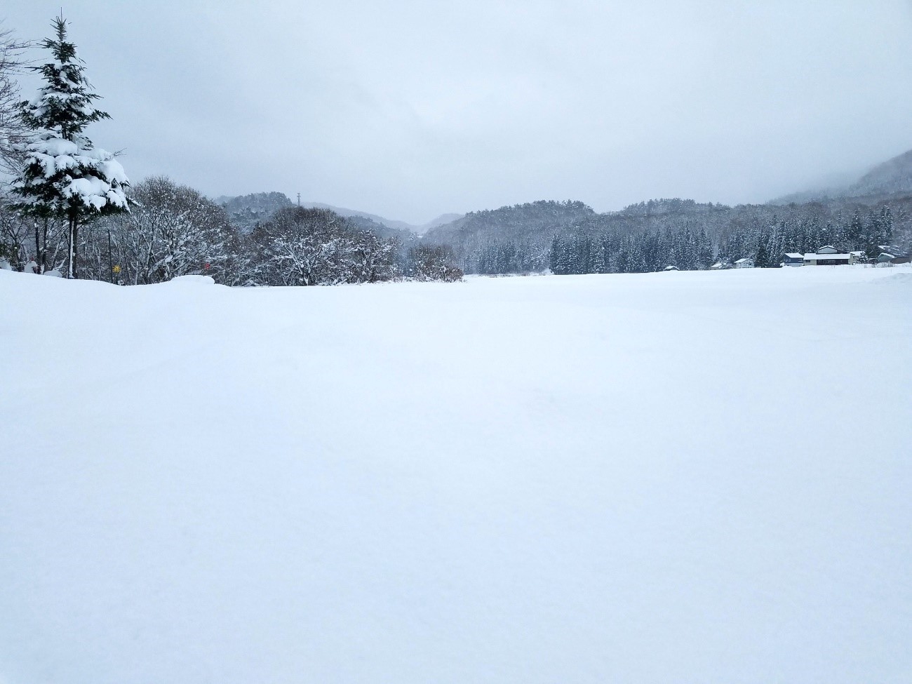 The snowball tournament of Iwate’s snowiest town | Iwate & the ILC