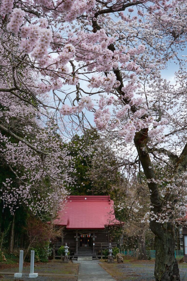 The four seasons at Genbikei Gorge | Iwate & the ILC