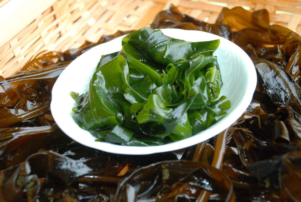 The Origin of Wakame Cultivation | Iwate & the ILC
