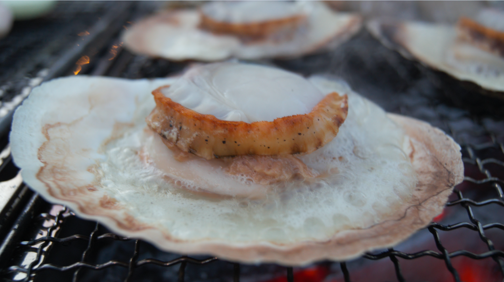 Scallop Aquaculture in Ofunato (Interview) | Iwate & the ILC
