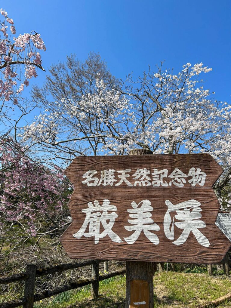Flowers over Dango? Genbikei Gorge | Iwate & the ILC